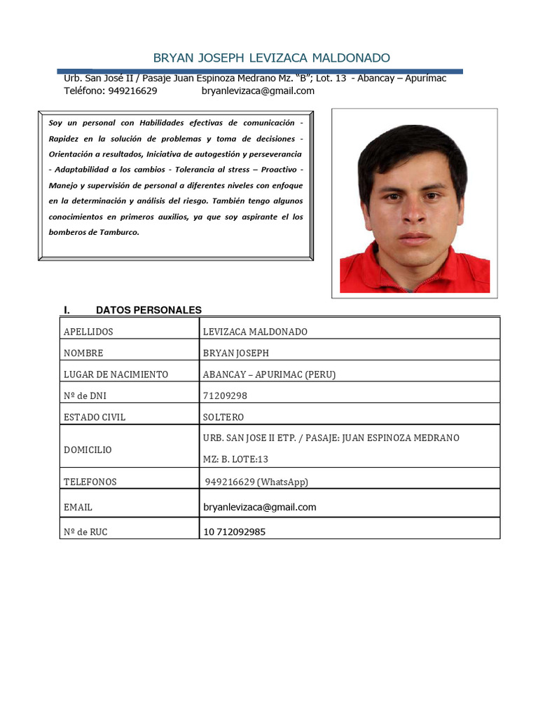 CV-BRAYAN (2) Compressed Compressed | PDF | Ingeniería