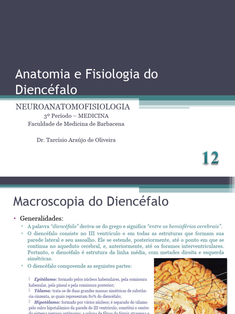 12 - Anatomia Do Diencéfalo | PDF | Hipotálamo | Tálamo