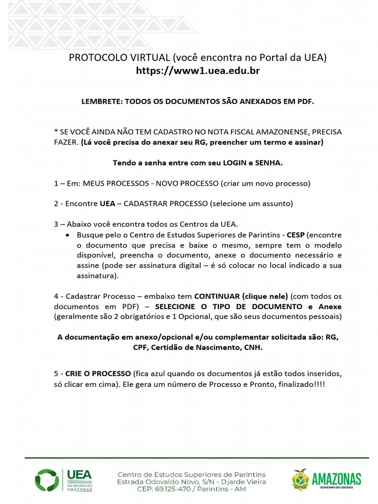 Acesso Ao Protocolo Virtual | PDF