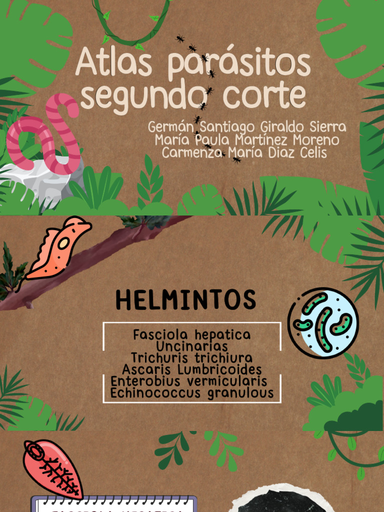 Atlas de Parásitos: Helmintos y Protozoos | PDF | Parasitología ...