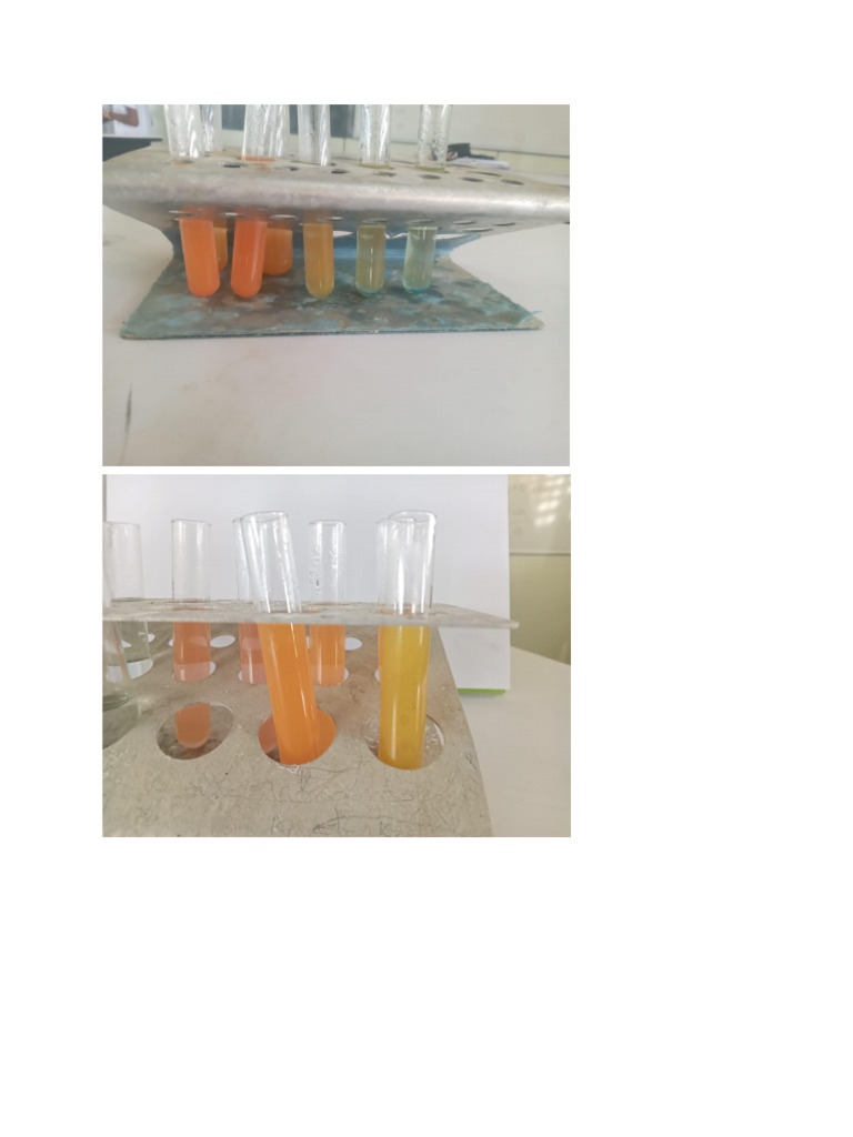 Quantitative Test | PDF
