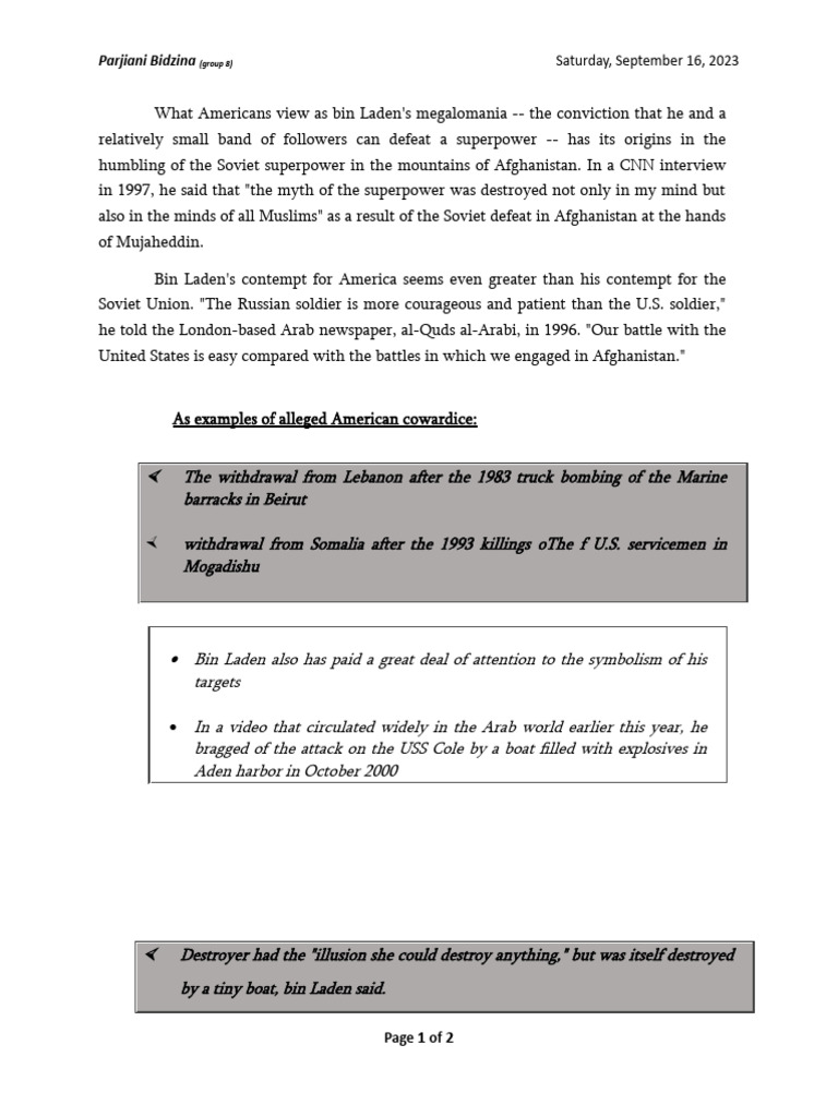 What Americans View As Bin Laden | PDF | Travel