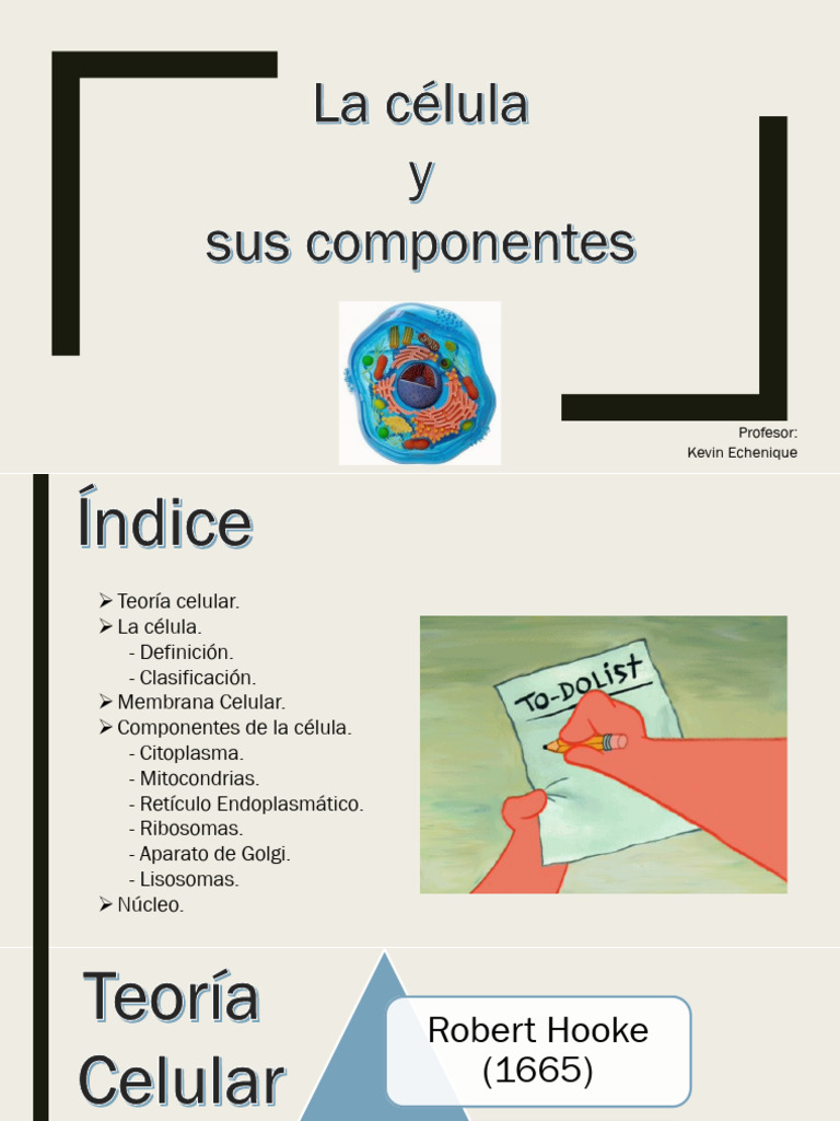 Estructura y Función de la Célula | PDF | Biología Celular) | Citoplasma