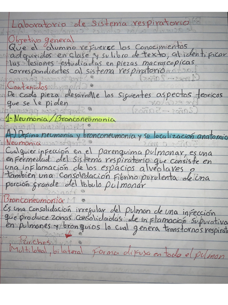 Lab de Sistemas Respiratorio Avalos | PDF