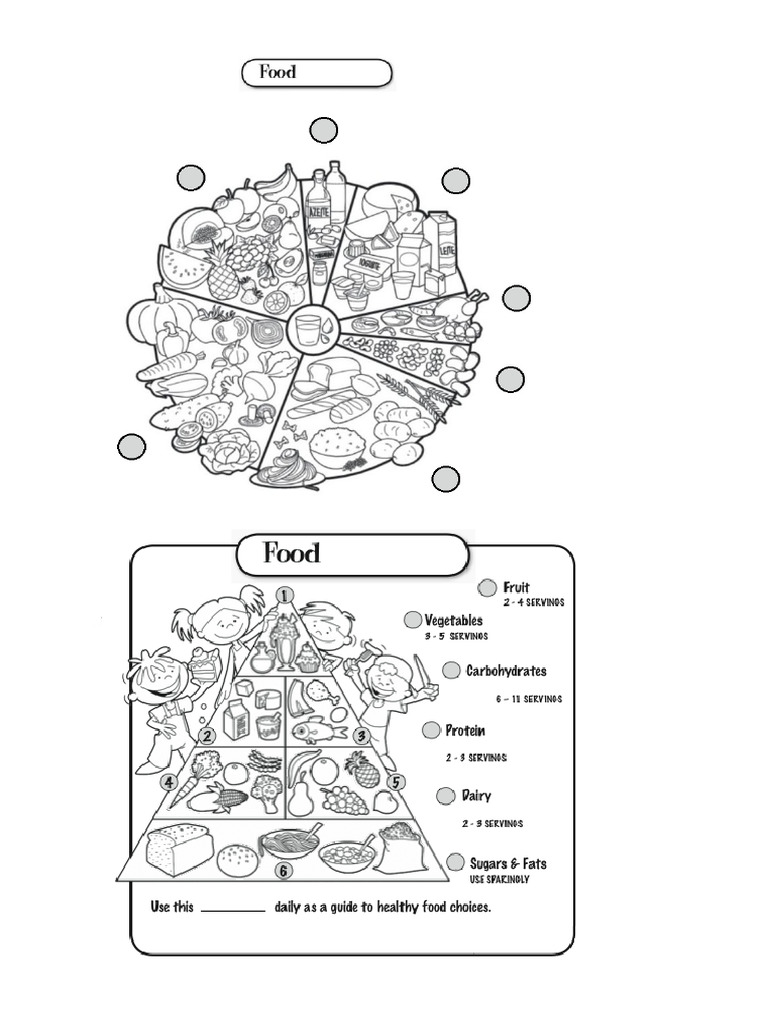 Nutrition: Food Pyramid Wheel | PDF