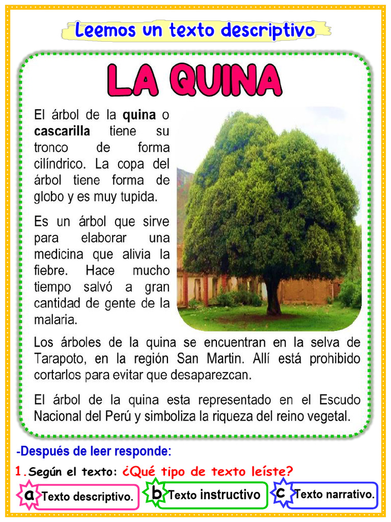Descripción del árbol de la quina | PDF