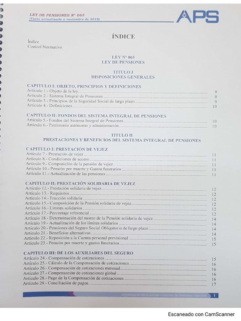 Ley 065 Actualizada 2019 | PDF