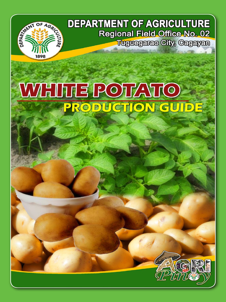 potato | PDF | Potato | Soil