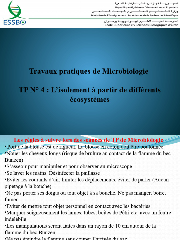 TP 4 Isolement à Partir de Différents Écosystèmes | PDF | Microbiologie ... TP 4 Isolement à Partir de Différents Écosystèmes | PDF | Microbiologie ...