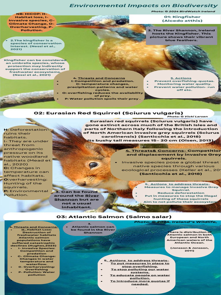 Infographic Assignment 1 | PDF | Invasive Species | Habitat Destruction