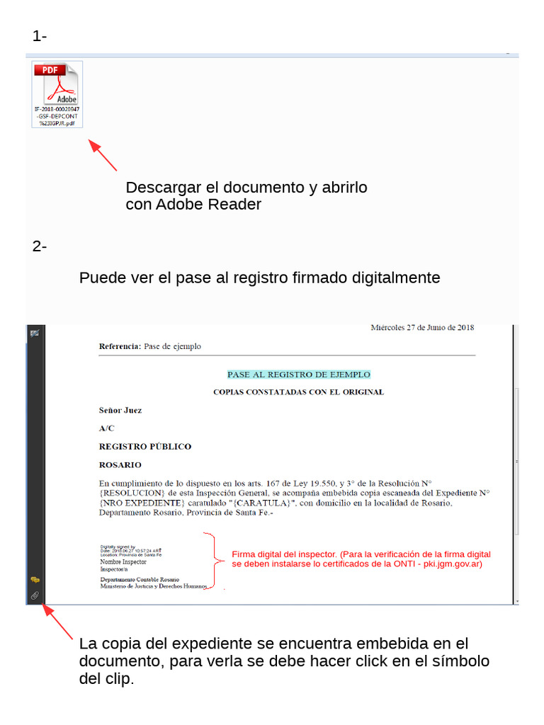 Tutorial para abrir documento embebido | PDF