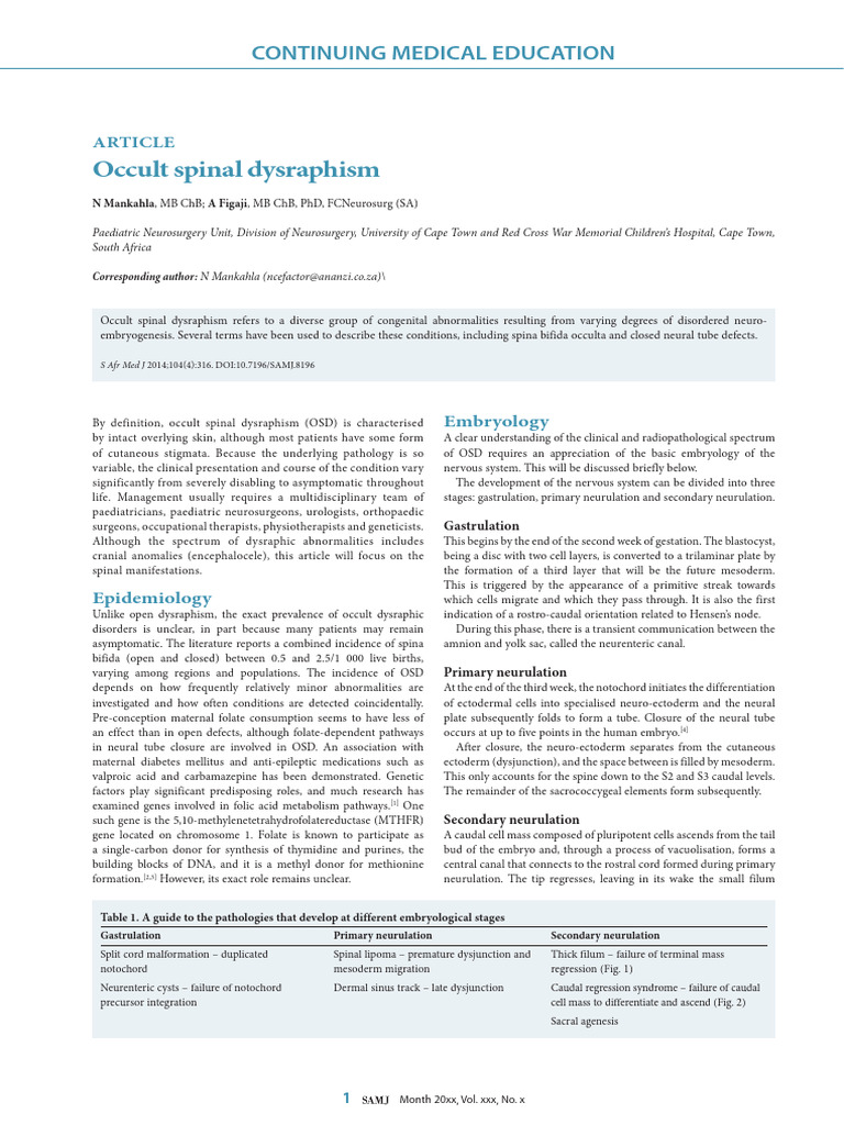 Disrafismo Spinal Oculta | PDF | Vertebral Column | Medical Imaging