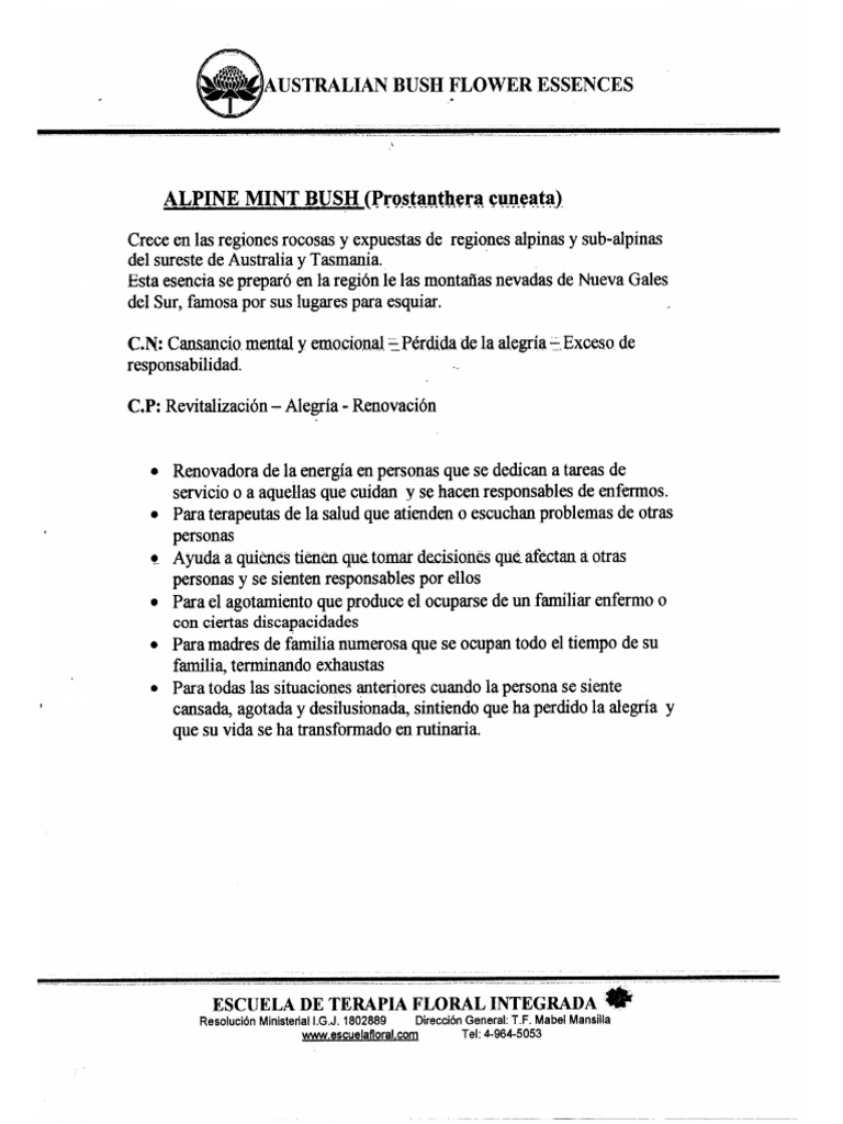 Alpine Mint Bush | PDF