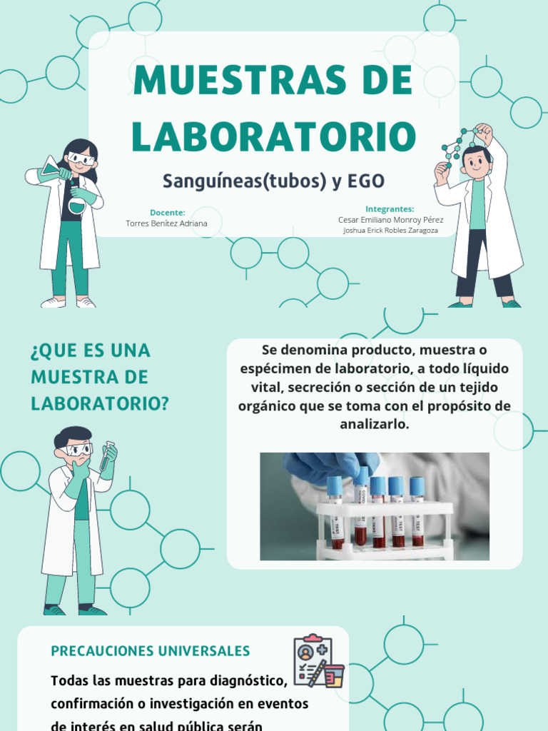 Toma de Muestras Sanguíneas y EGO | PDF | Sangre | Riñón