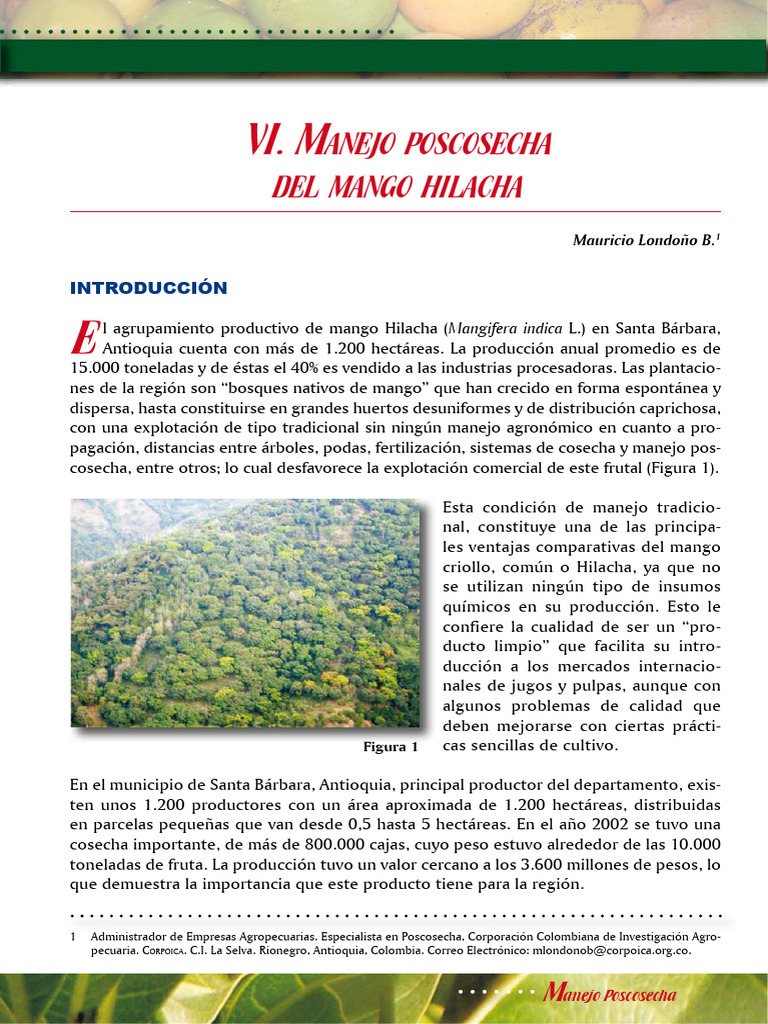 Anejo Poscosecha Del Mango Hilacha: Introducción | PDF | Mango | Cosecha
