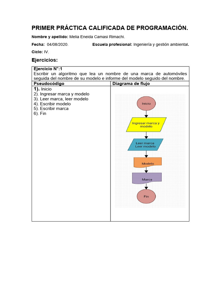 Práctica Calificada de Programación 3 | PDF | Algoritmos | Triángulo
