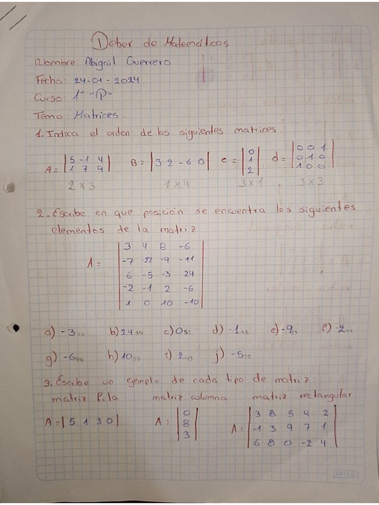 Trabajo de Matrices | PDF
