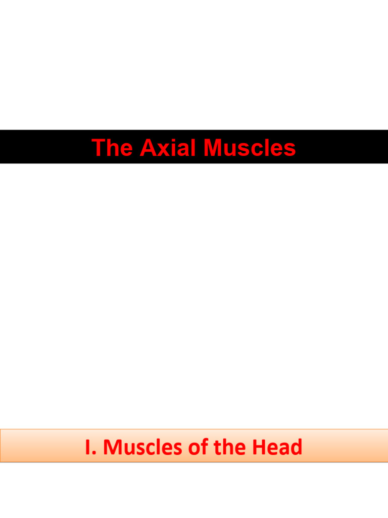 The Axial Muscles | PDF | Neck | Abdomen