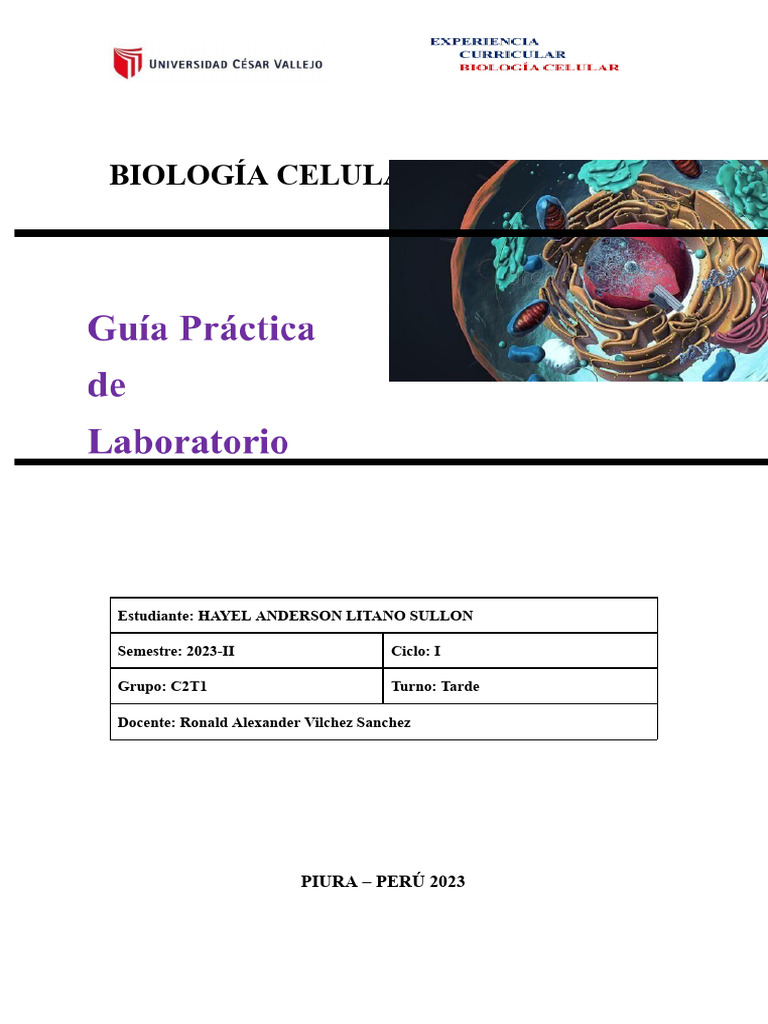 GUÍA PRÁCTICA LAB - SEM 13. Fundamentos Teoricos | PDF | Mitosis | Mitosis