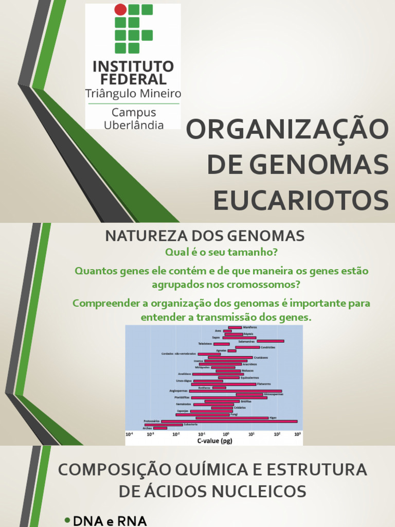 6 Aula BIOTEC 2022-2 | PDF | Gene | Cromossomo