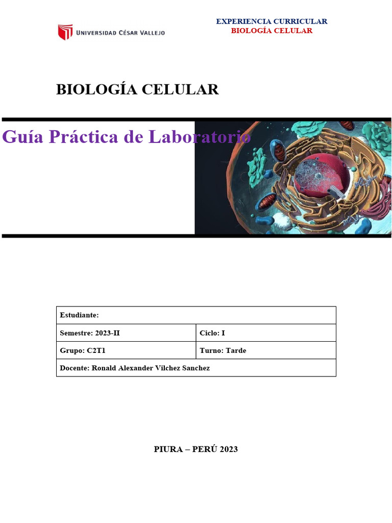 GUÍA PRÁCTICA LAB - SEM 13. Fundamentos Teoricos | PDF | Mitosis | Mitosis