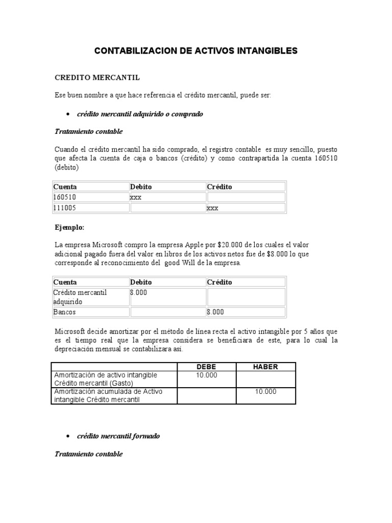 Contabilizacion de Activos Intangibles