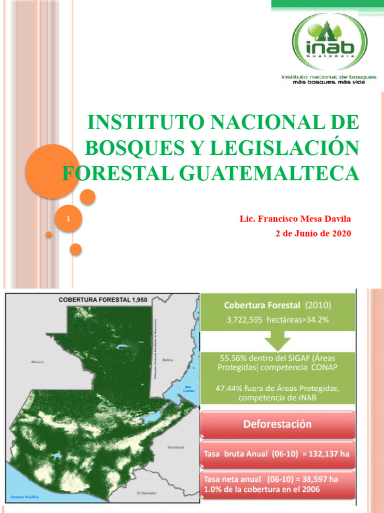 Instituto Nacional de Bosques | PDF | Los bosques | Sustentabilidad