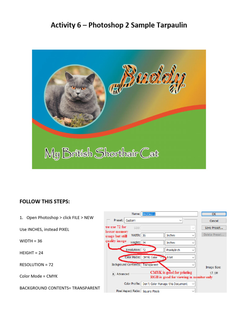 Activity 7 – Photoshop 2 Sample Tarpaulin | PDF | Adobe Photoshop | Vision