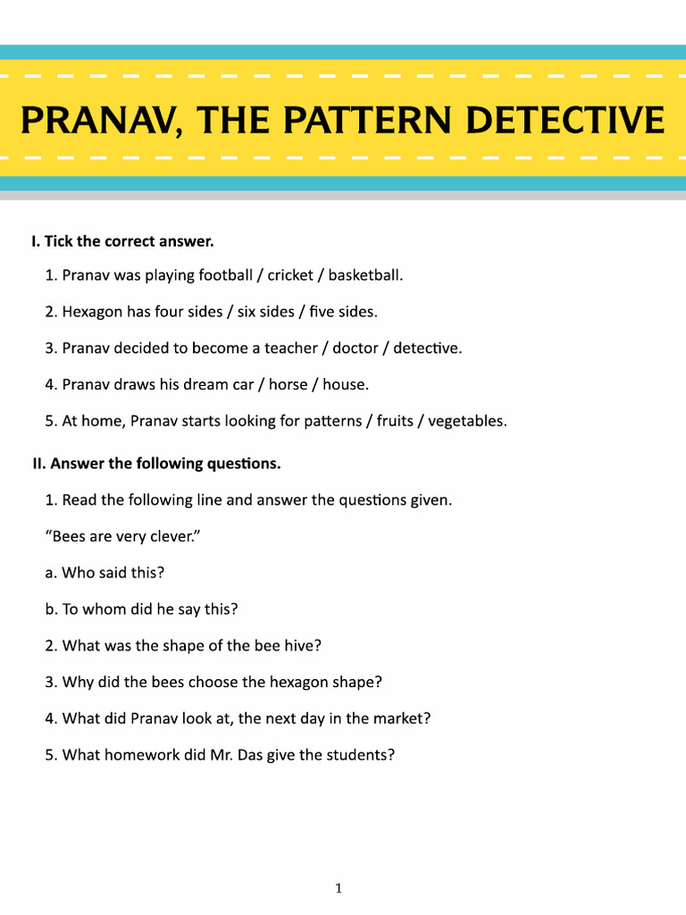Pranav The Pattern Detective | PDF