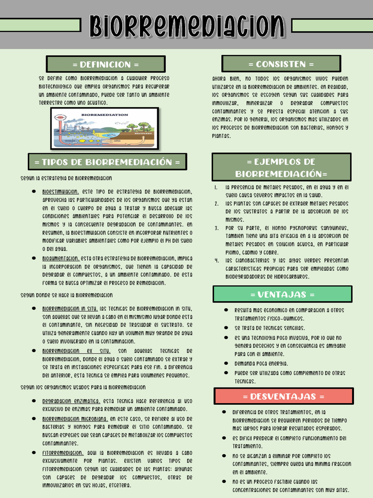 T4. Infografía Sobre Biorremediación | PDF | Biología | Naturaleza