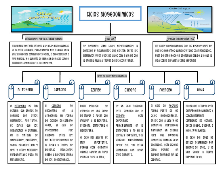 T3. MAPA CONCEPTUAL SOBRE CICLOS BIOGEOQUIMICOS | PDF | Tierra | Agua