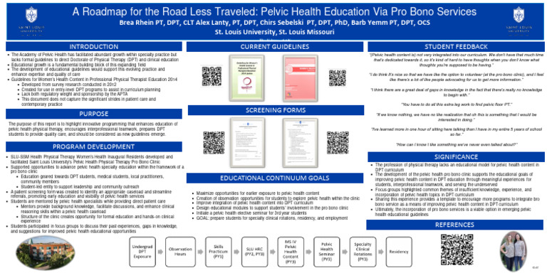 Rhein CSM Poster 2023 | PDF | Physical Therapy | Health Care