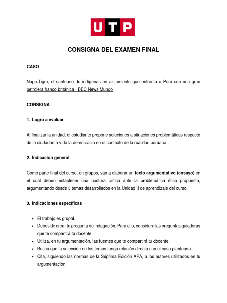 Consigna - Examen Final | PDF