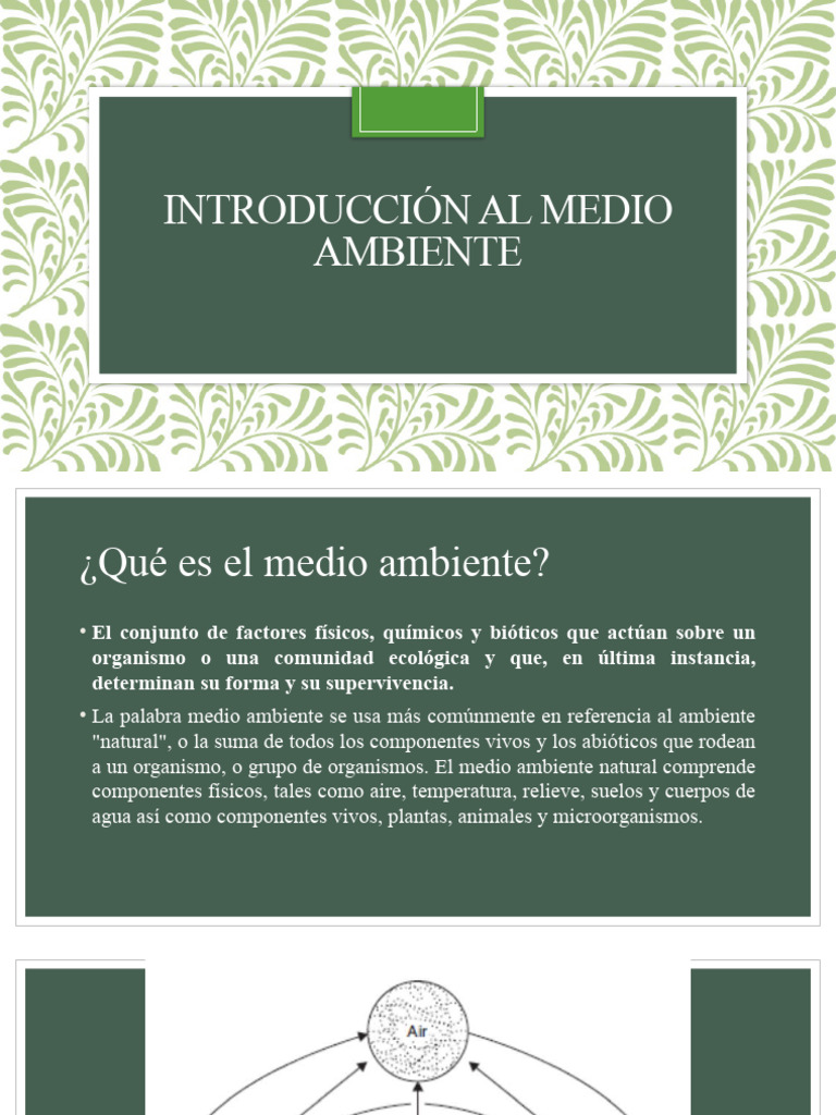 Introducción Al Medio Ambiente | PDF | Entorno natural | Ecosistema