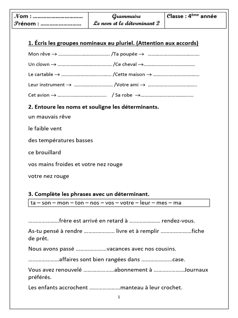Grammaire Le Nom Et Le Déterminant 2 | PDF