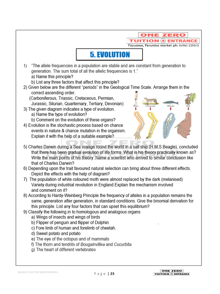 5. Evolution | PDF | Evolution | Natural Selection