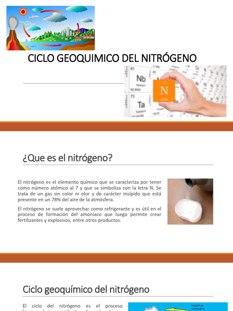 NITROGENO | PDF | Nitrógeno | Biología