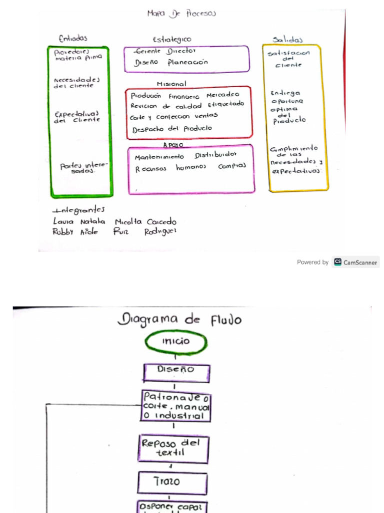 Mapa Mental y Diagrama de Flujo | PDF