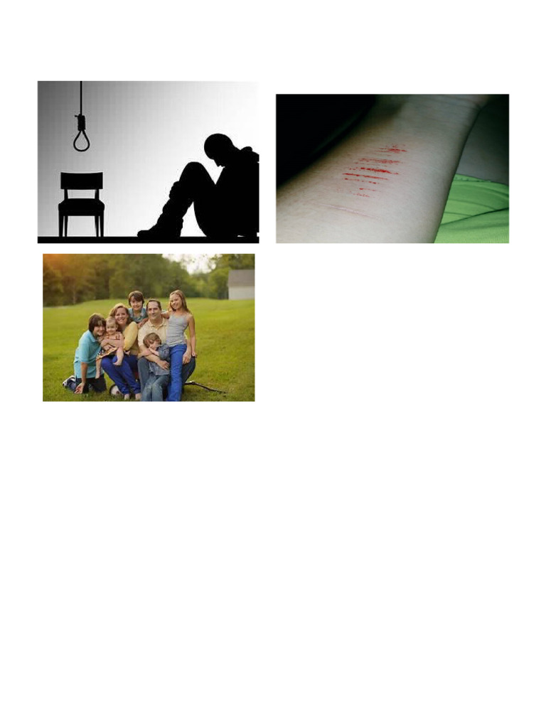 Intentional Injuries Cobs | PDF