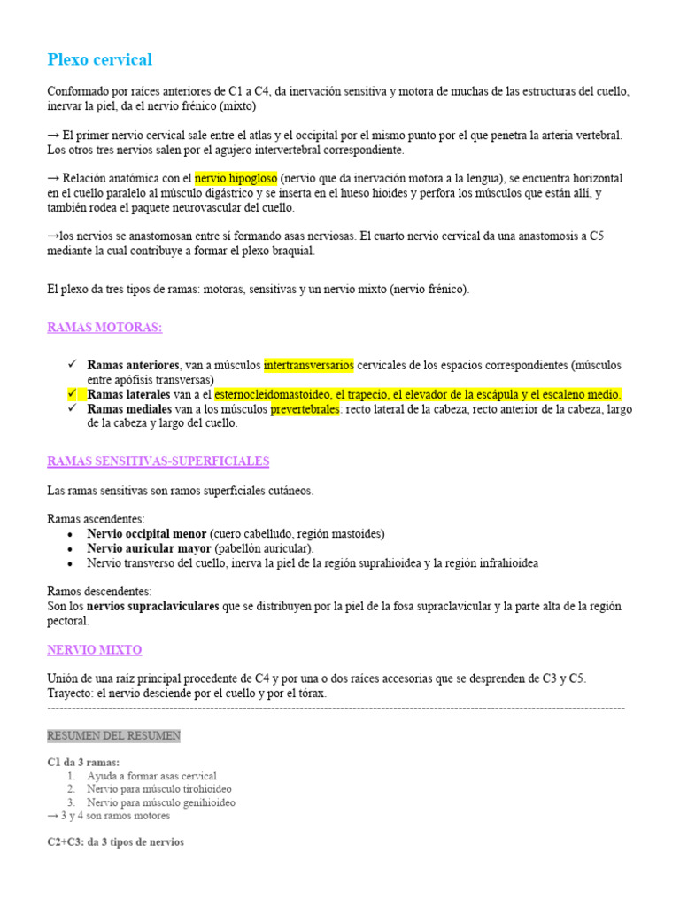 Plexo Cervical Resumen | PDF | Tejido suave | Neuroanatomía