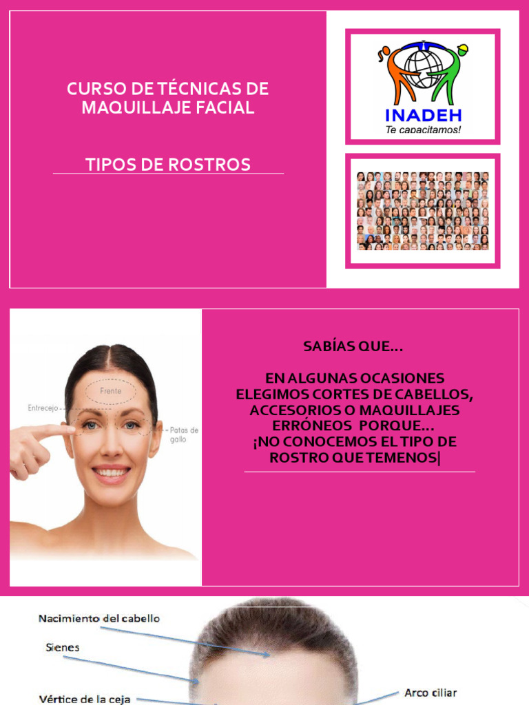Tipos de Rostros. 0 | PDF | Cara | Ceja
