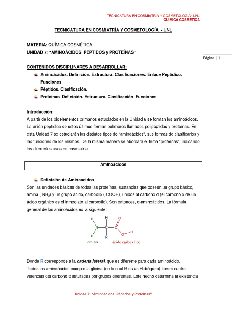 Unidad 7 Aminoacidos 2c Peptidos y Proteinas | PDF | Proteínas ...
