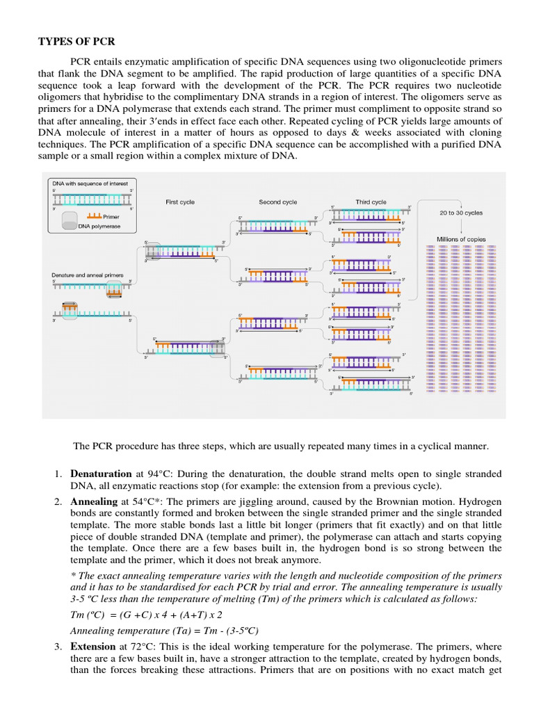 TYPES OF PCR - Dr. De-1 PDF | PDF | Polymerase Chain Reaction | Real ...