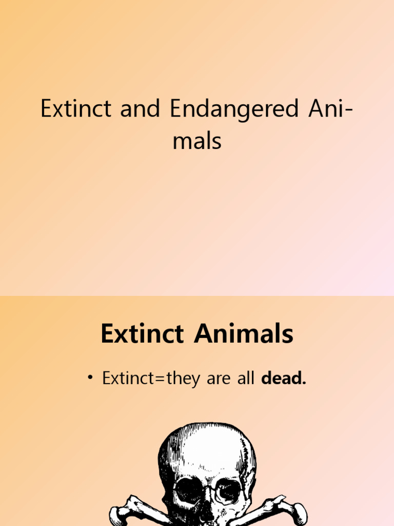Endangered Animals | PDF | Bears | Hunting