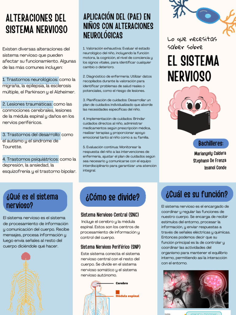Triptico Del Sistema Nervioso | PDF | Neurología | Trastorno mental