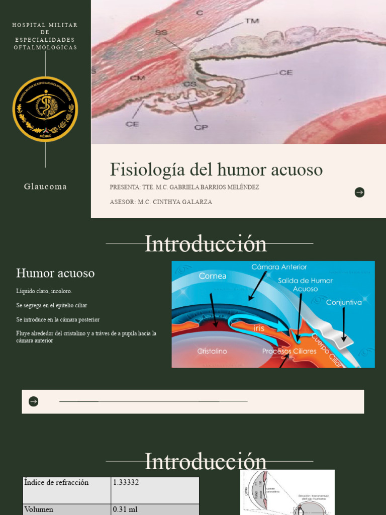 Fisiología y Drenaje del Humor Acuoso | PDF | Glaucoma | Ojo humano