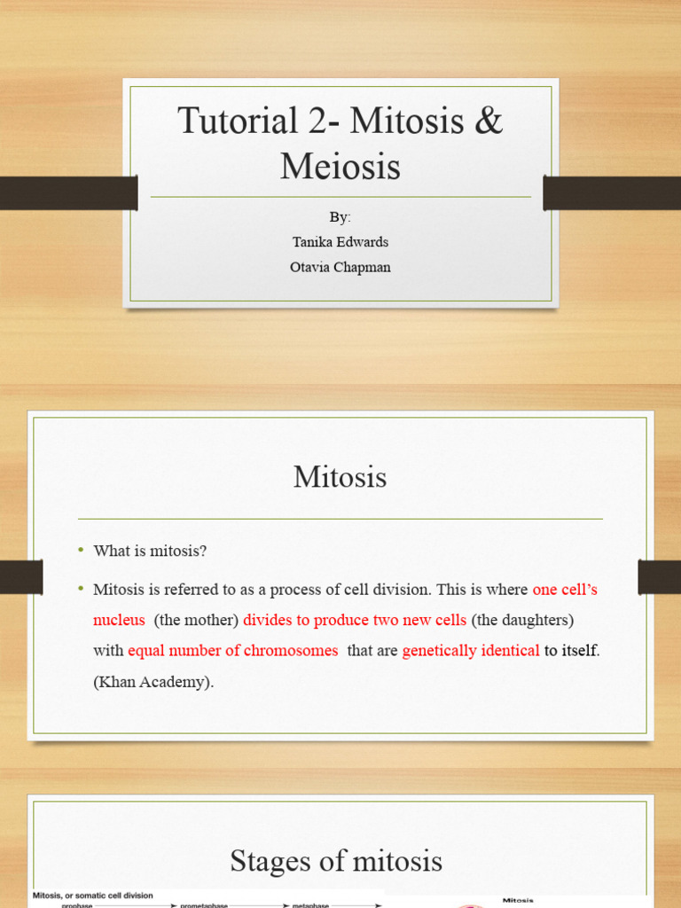 Tutorial 2- Mitosis & meiosis,,, | PDF | Meiosis | Mitosis