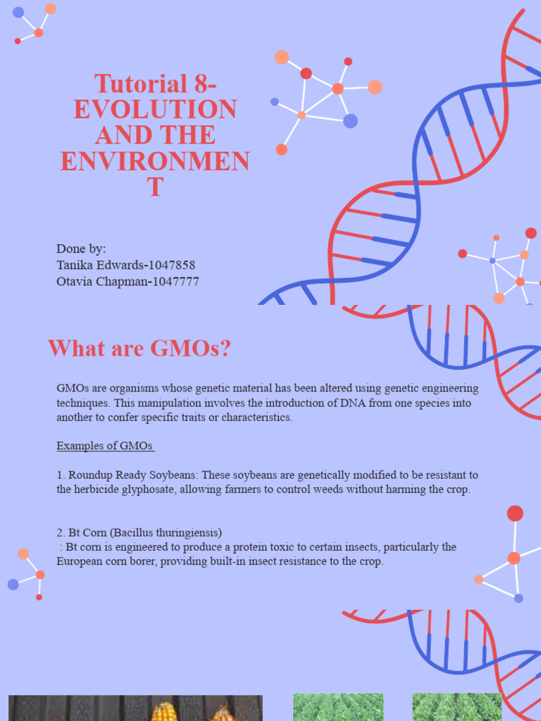 tutorial-8- incomplete | PDF | Genetically Modified Organism | Genetic ...