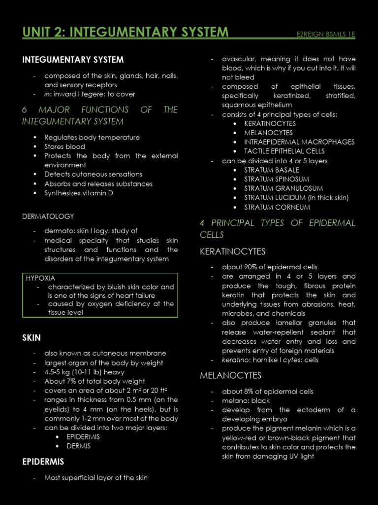 Integumentary System PDF 2 | Download Free PDF | Integumentary System ...