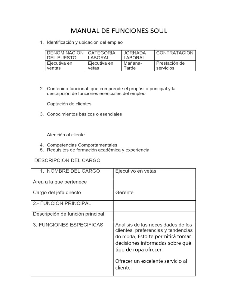 Manual de Funciones Soul | PDF | Marketing | Calidad (comercial)